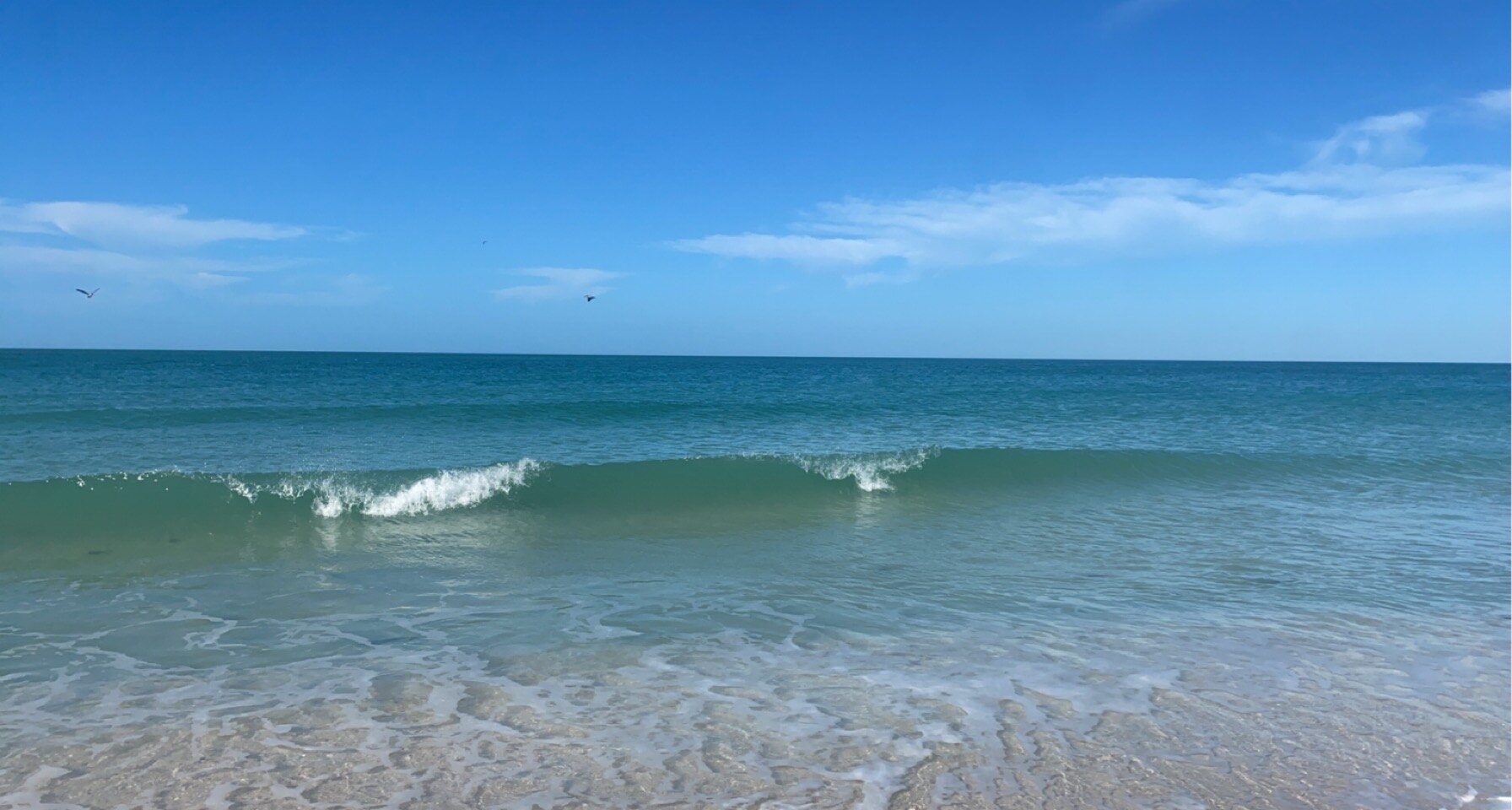 Venice Jetty Surf Report | Surf, Fishing, Weather Report Kayak Rentals ...